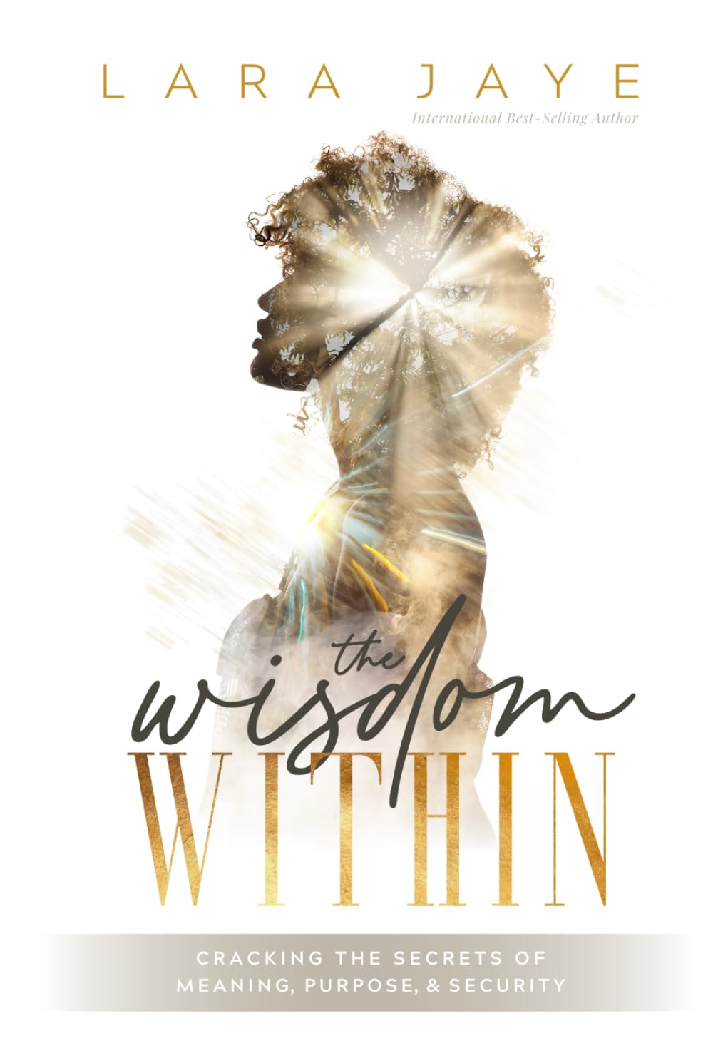 The Wisdom Within: Cracking the Secrets of Meaning, Purpose, & Security ...