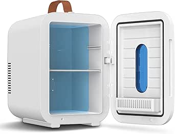 ADVWIN Mini Fridge, 10L Portable Mini Refrigerator Personal Small ...