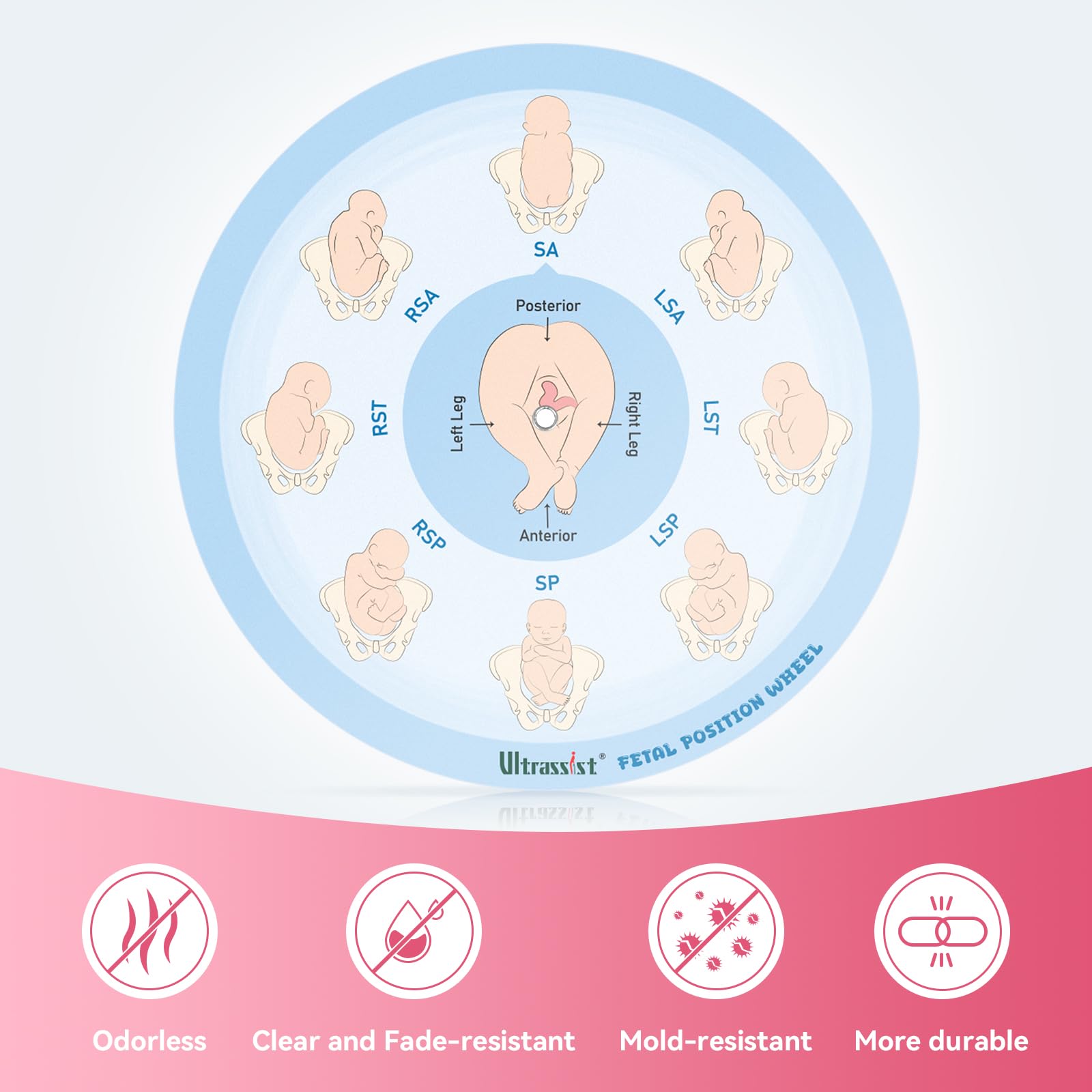 Snapklik.com : Midwife Fetal Position Tool - Small Size 5.12", Fetal ...