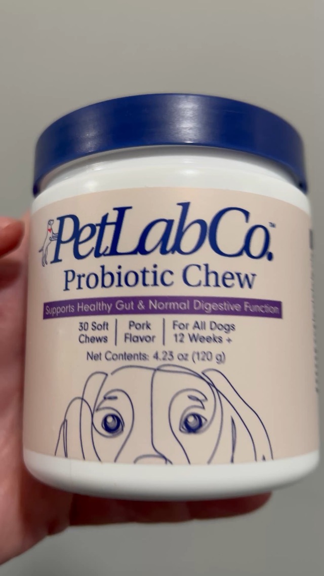Watch Probiotic Chew For Dog on Amazon Live