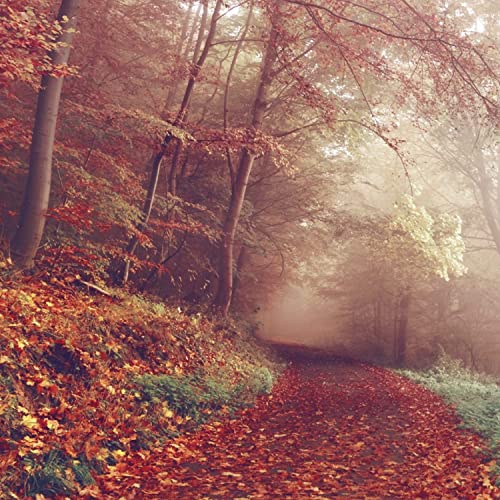 Amazon.com: After the Fall : Mortal58: Digital Music