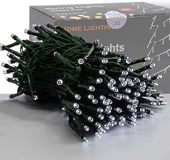 HOME LIGHTING 66ft Christmas Decorative Mini Lights, 200 LED Green Wire ...