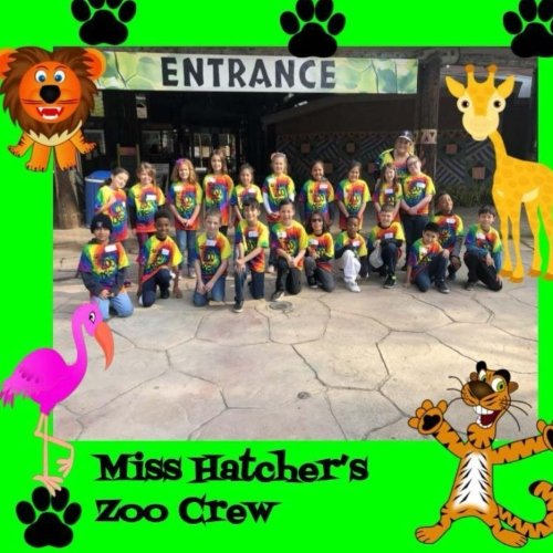 Miss Hatcher's Zoo Crew: Class, Miss Hatcher's: 9781985270794: Amazon ...