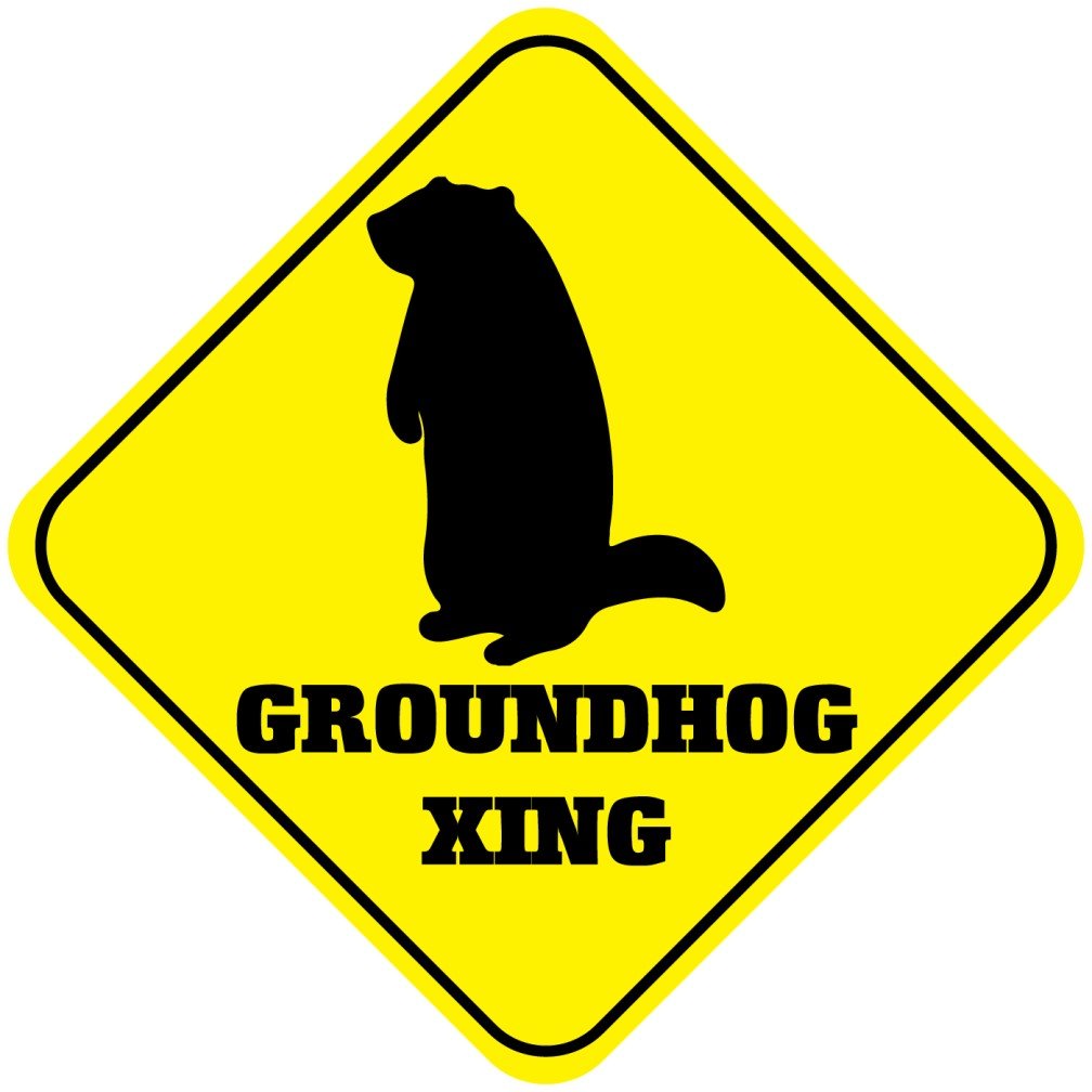 Amazon.com: Aluminum Cross Sign Groundhog Crossing Style C Metal Wall ...
