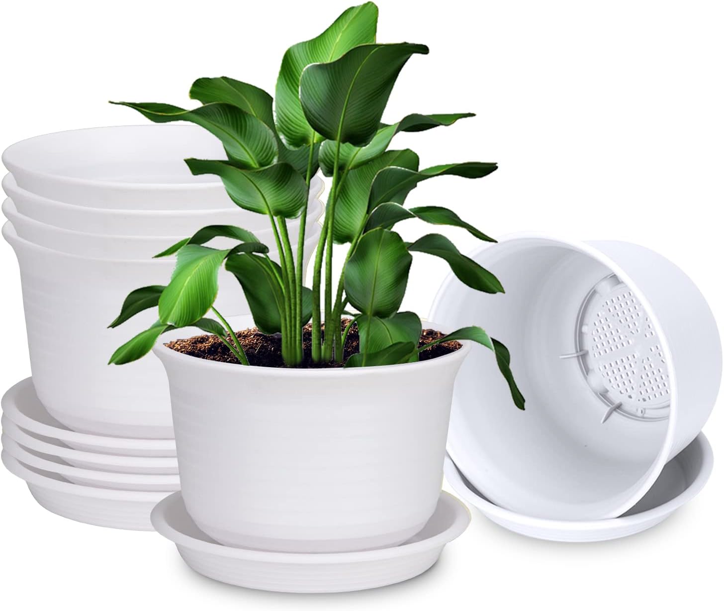 Amazon.com: UOUZ 6'' Plant Pots Bulk, 6 Pack Plastic Planters with ...