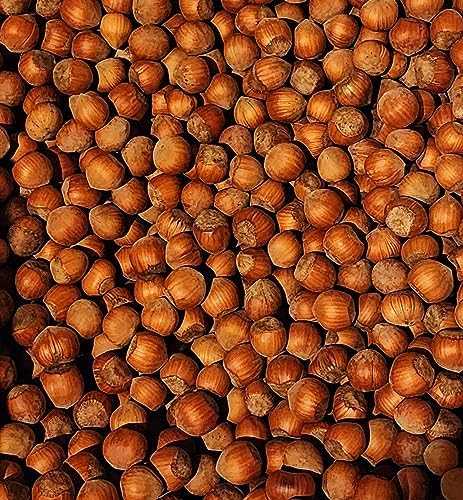 Amazon.com : Hazelnuts in-shell from our family orchard in Washington ...