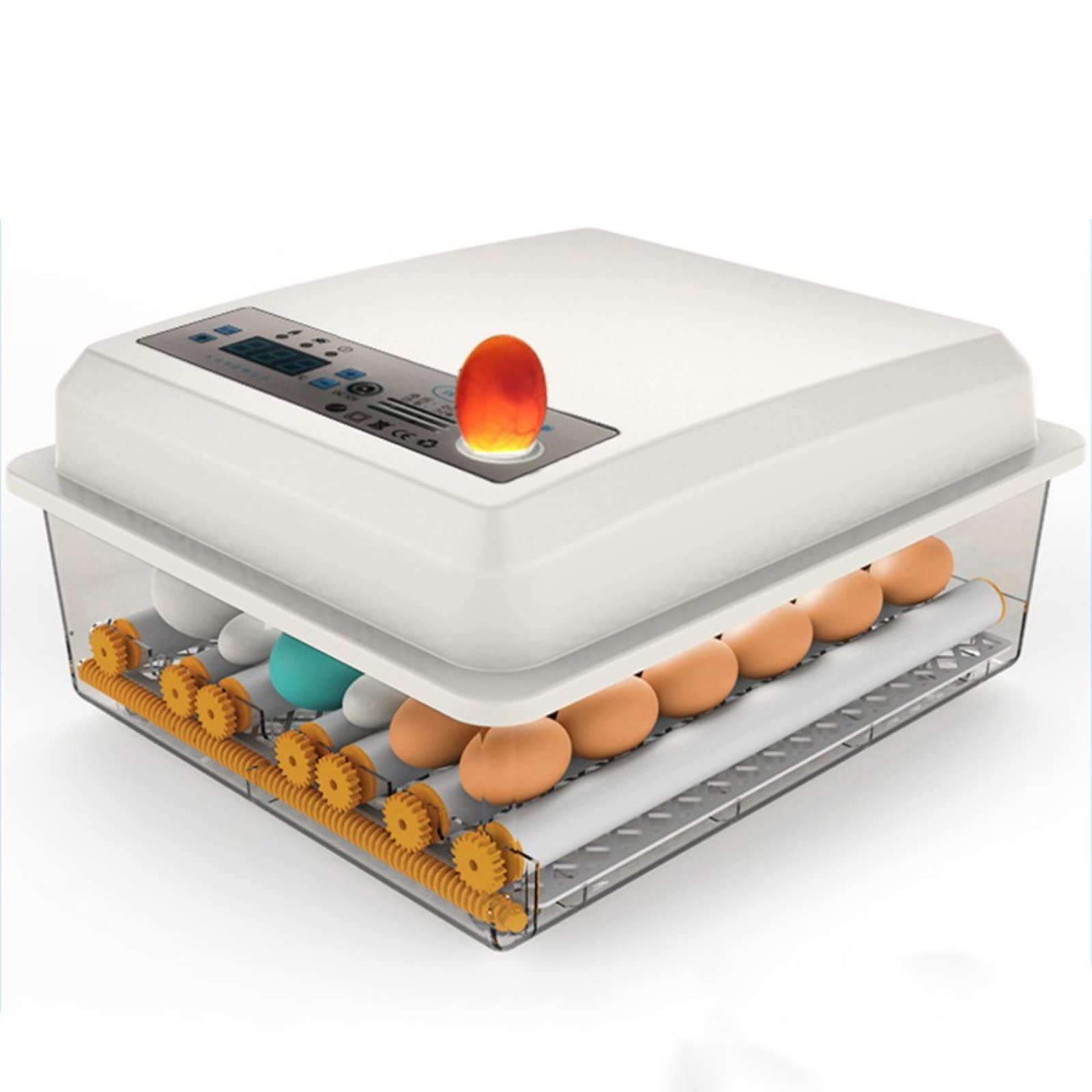 Buy ZQJKL Chicken Egg Incubator Duck Egg Incubator for 30-Eggs Fully ...