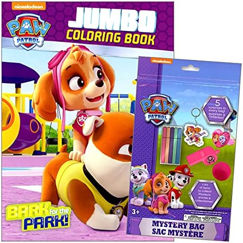 Paw Patrol Skye Activity Set with Bundle Includes Coloring Book, Charm ...