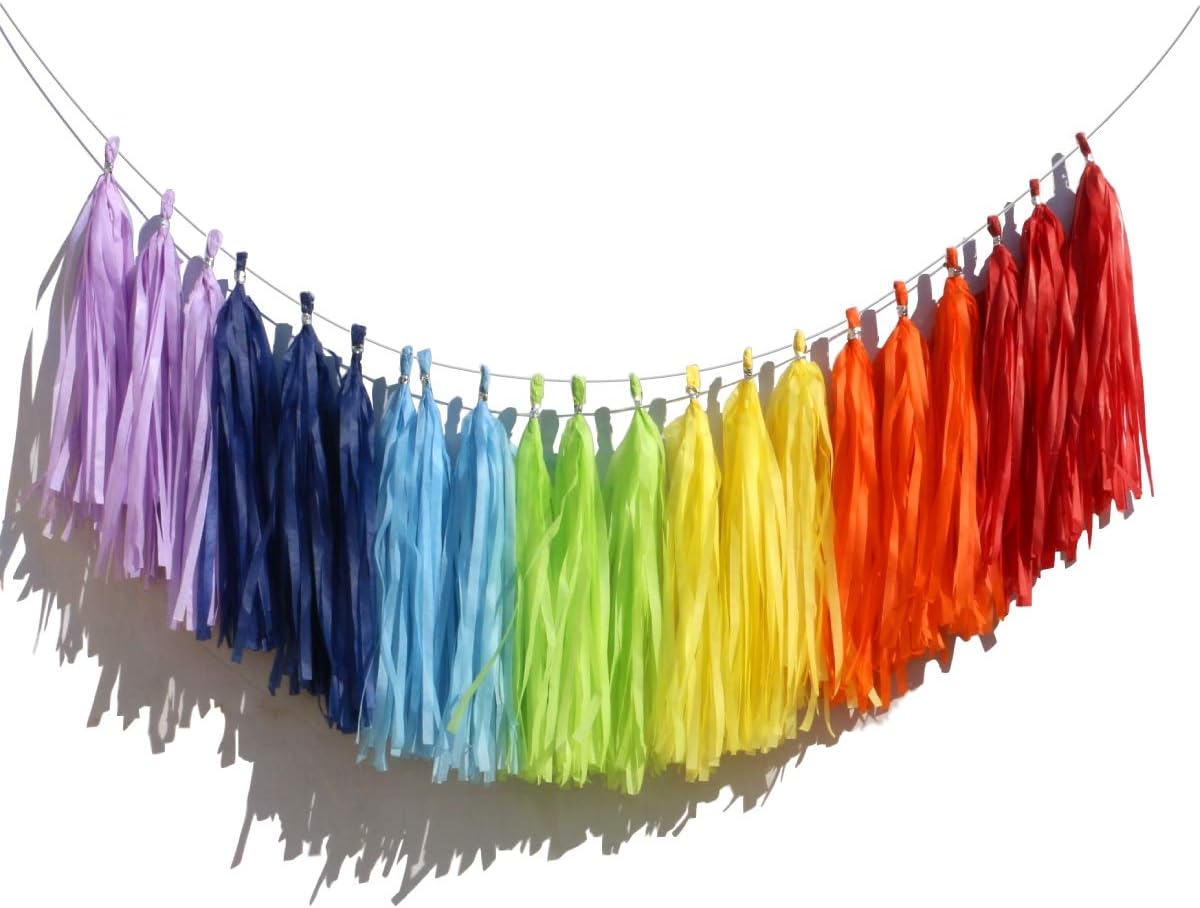 Amazon.com: Binpeng 14in 21pcs Rainbow Paper Tassel DIY Hanging paper ...