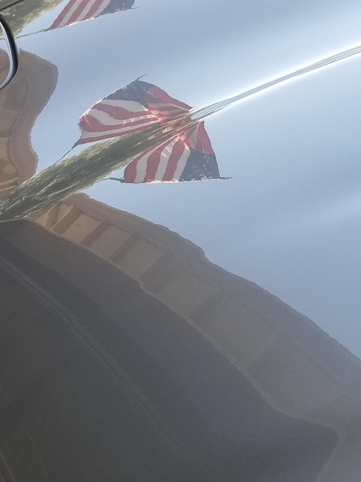 Amazon.com: CSI Euro Foam Polishing Pad- 7" Hook and Loop Direct ...