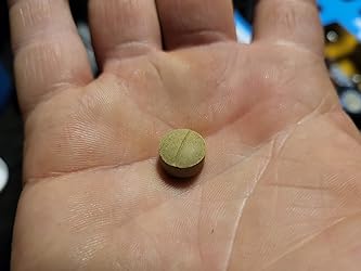 Amazon.com: Sabroxy® Tablets | 500mg | 30 Count | Minimum 10% Oroxylin ...