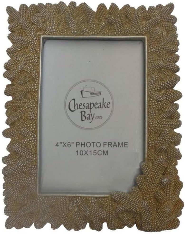Amazon.com - Coral Design Coastal Photo Frame, Resin, Holds a Single 4 ...
