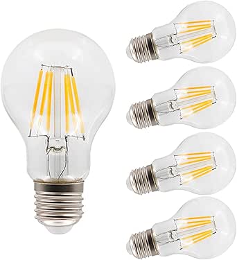 Edearkar 12V Low Voltage A19 LED Vintage Light Bulbs Dimmable 4500K ...
