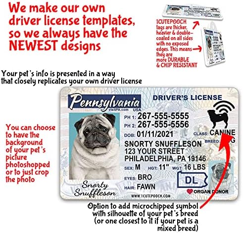 Can I Get A Pa Dog License Online