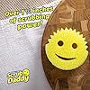 Scrub Daddy - The Original Scrub Daddy - Scratch-Free Multipurpose Dish ...