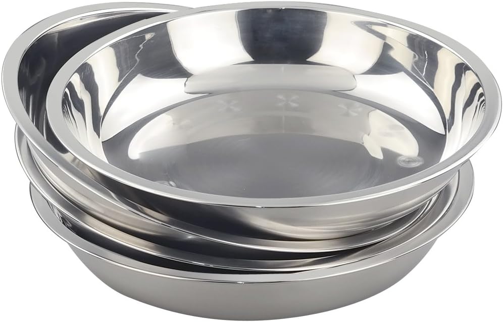 Amazon.com: Morcte Stainless Steel Round Plates Dish Set for Dinner ...