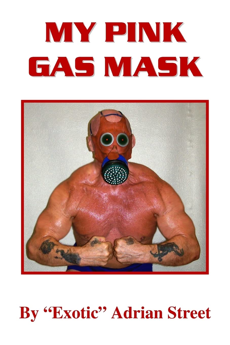 My Pink Gas Mask: Street, Adrian: 9781477413289: Amazon.com: Books