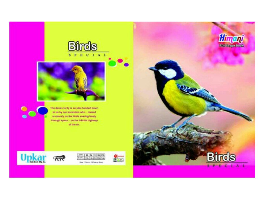 Himani Full Scape Book (176 pages) (pack of 12) : Amazon.in: Office ...