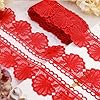 Amazon.com: Red Lace Trim 4.5 Yards Venice Ribbon Flower Scalloped ...