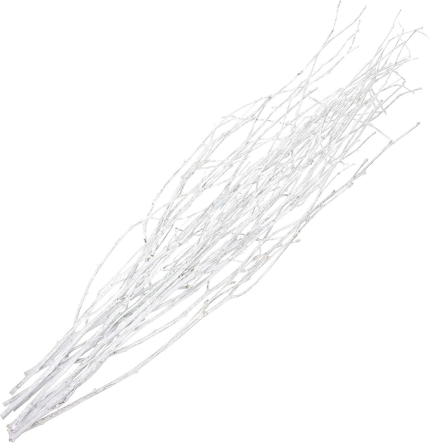 Amazon.com: HOMSFOU Natural Birch Twigs 10pcs Artificial Branches Curly ...