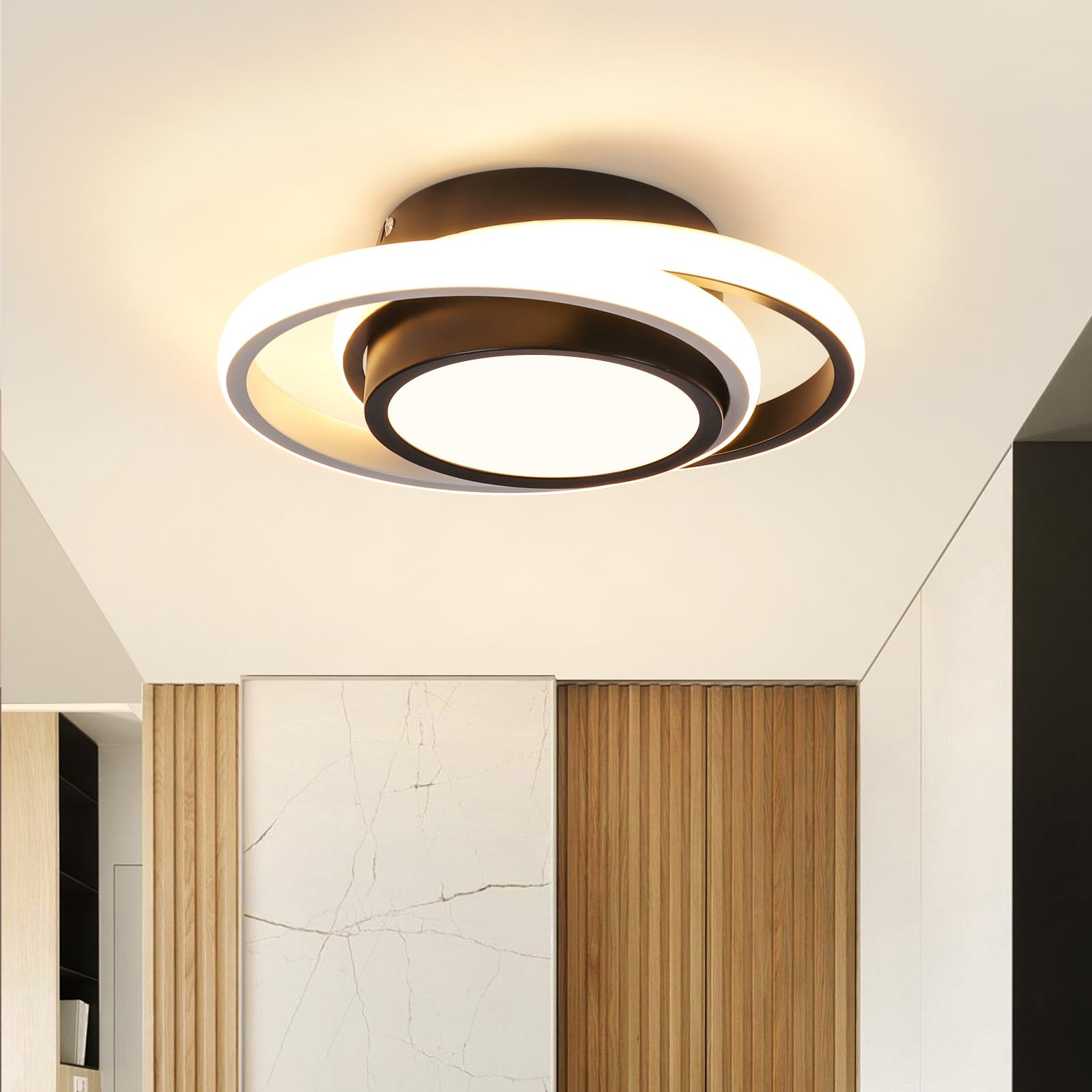 1 x RAW Customer Returns EIDISUNY Modern Ceiling Light LED Round ...