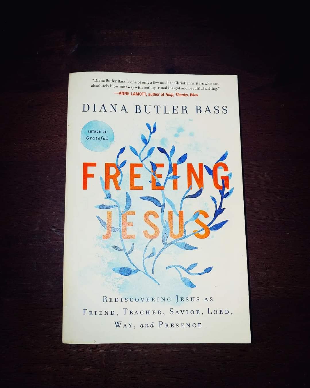 $2/mo - Finance Freeing Jesus: Rediscovering Jesus as Friend, Teacher ...