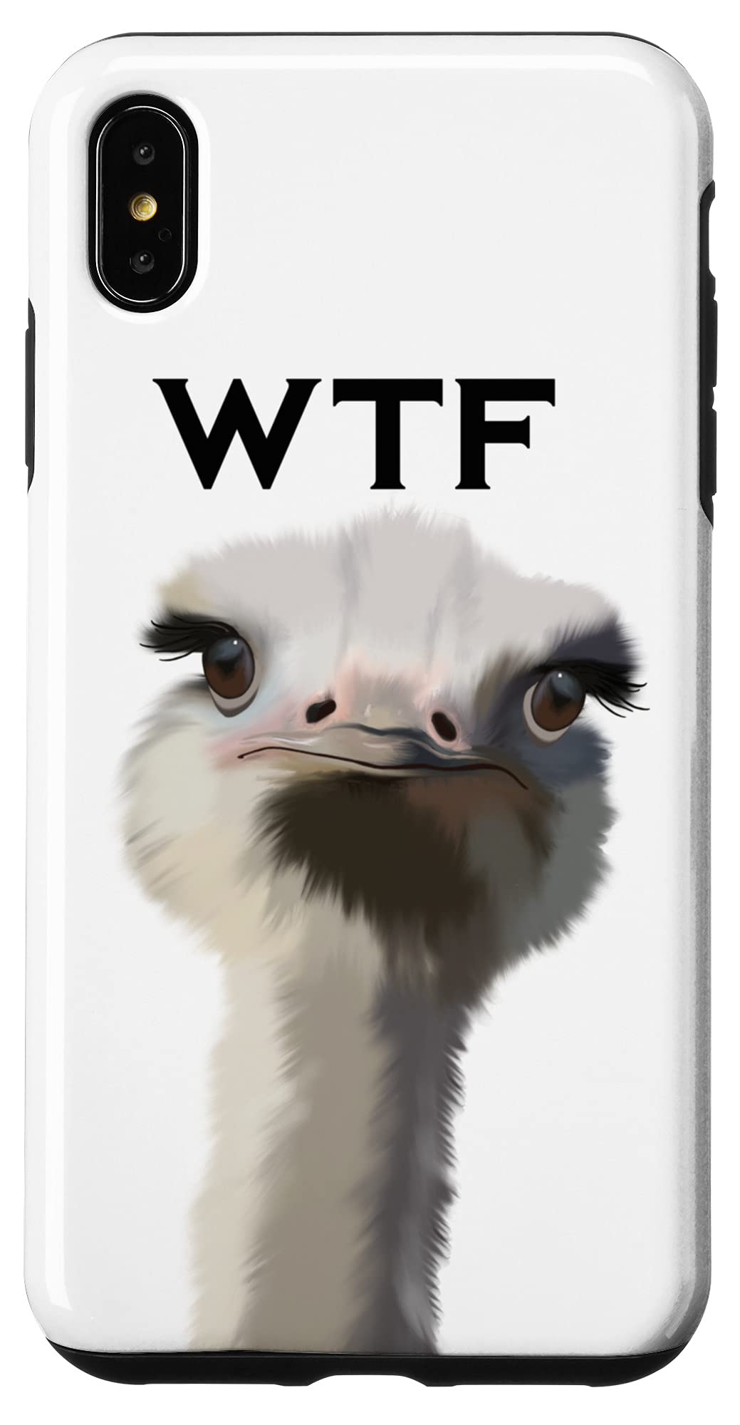Funny Ostrich Running
