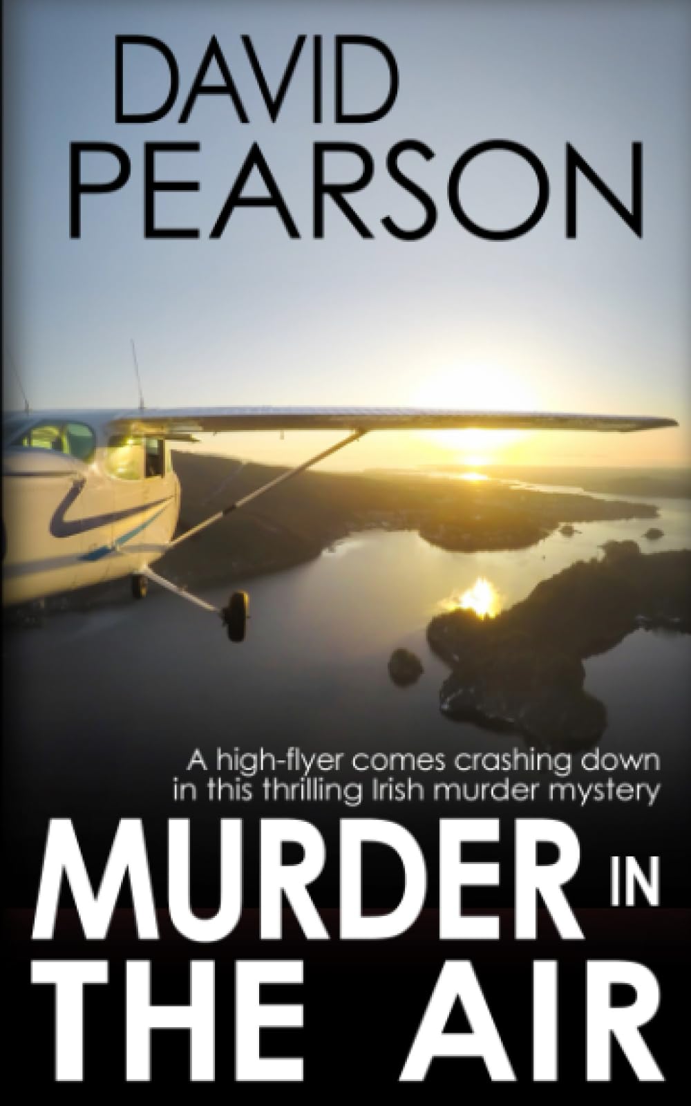 Amazon.com: MURDER IN THE AIR: a high-flyer comes crashing down in this ...