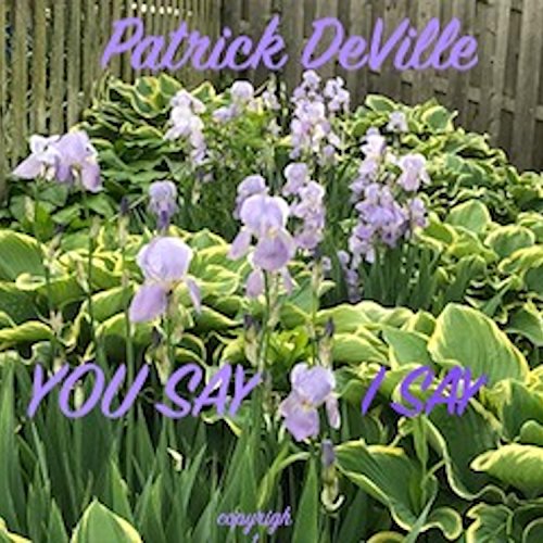 Play You Say I Say by Patrick Deville on Amazon Music
