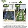 Amazon.com : American Meadows Microclover Seed - Specially Blended Lawn ...