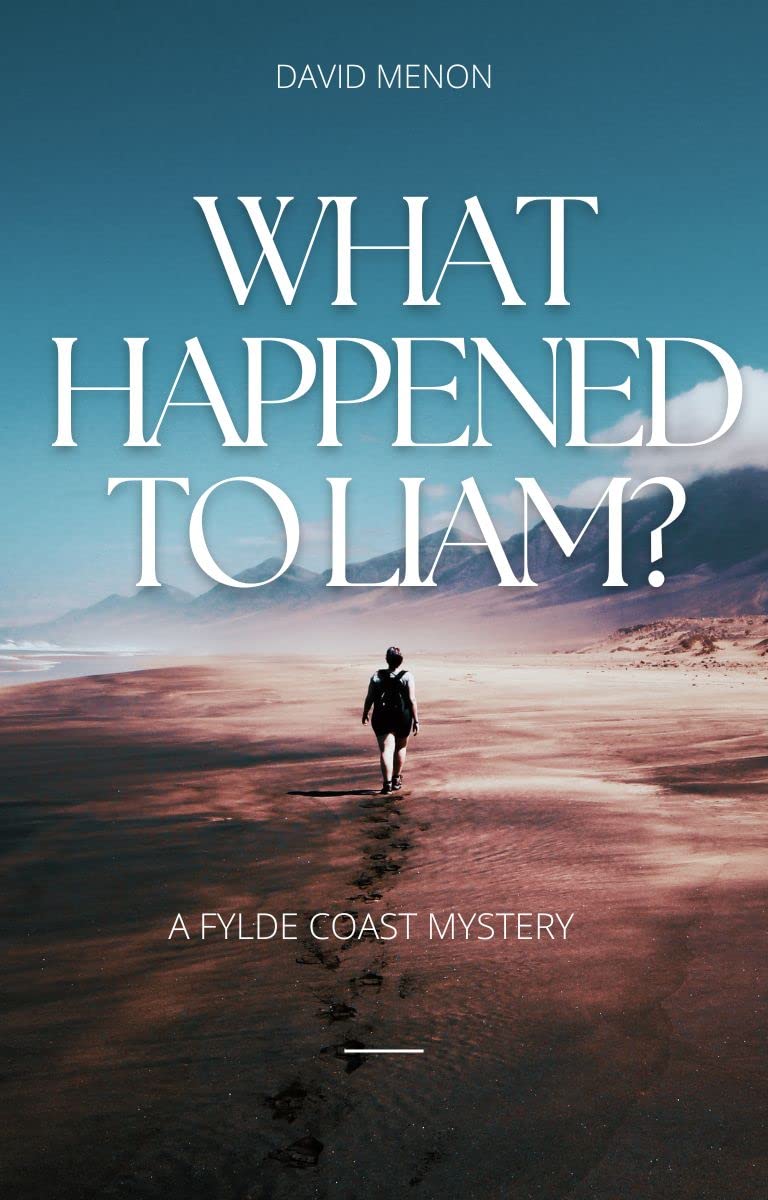 What Happened to Liam? (Silver Springs) eBook : Menon, David: Amazon.ca ...