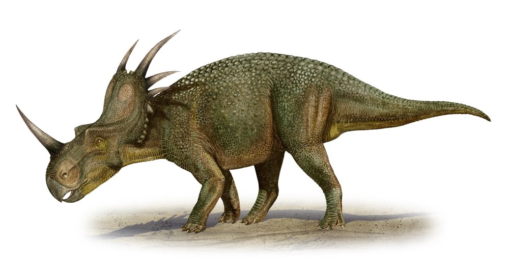 Dinosaurs Styracosaurus