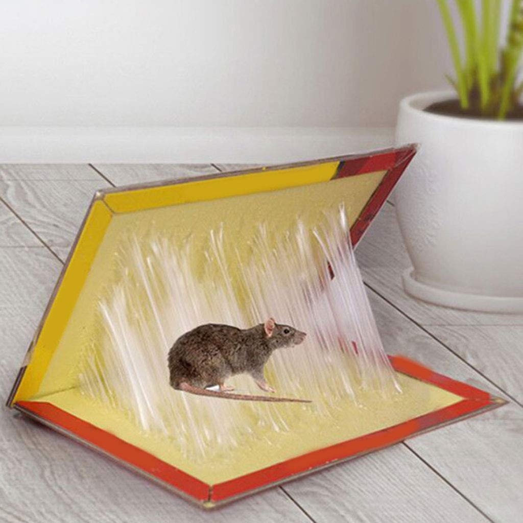 Buy Mouse Trap Sticky Mouse Board Humane Mouse Traps,Rat/Mice/Mouse ...