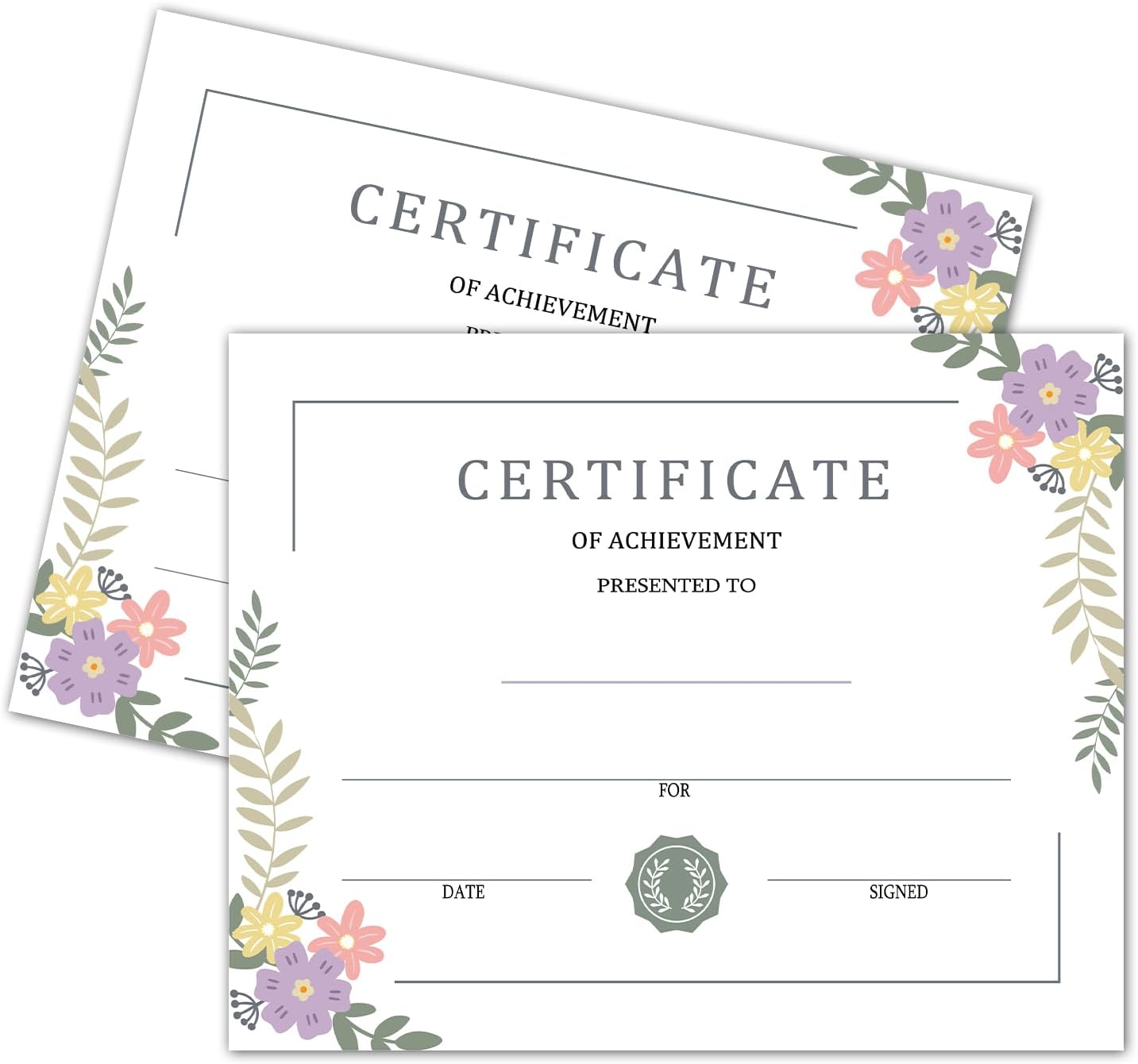 Amazon.com : Certificates of Achievement for Kid Teen Adult Student ...