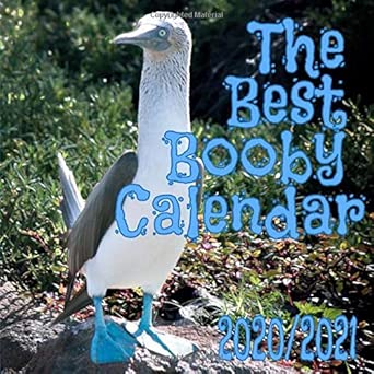 The Best Booby Calendar: Candy, Calendar: 9798672934822: Amazon.com: Books