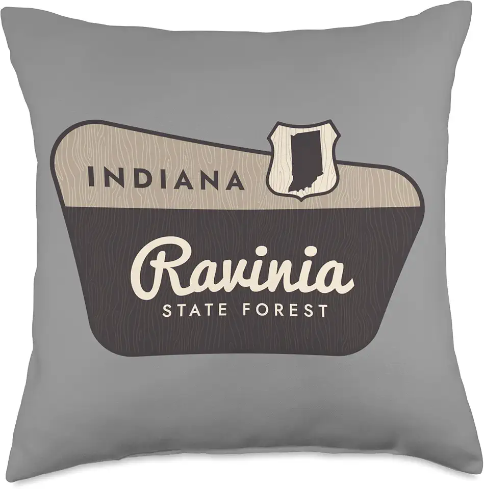 Essential Items To Pack For An Unforgettable Time At Ravinia | QuartzMountain