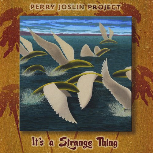 Amazon.com: It's A Strange Thing : Perry Joslin: Digital Music