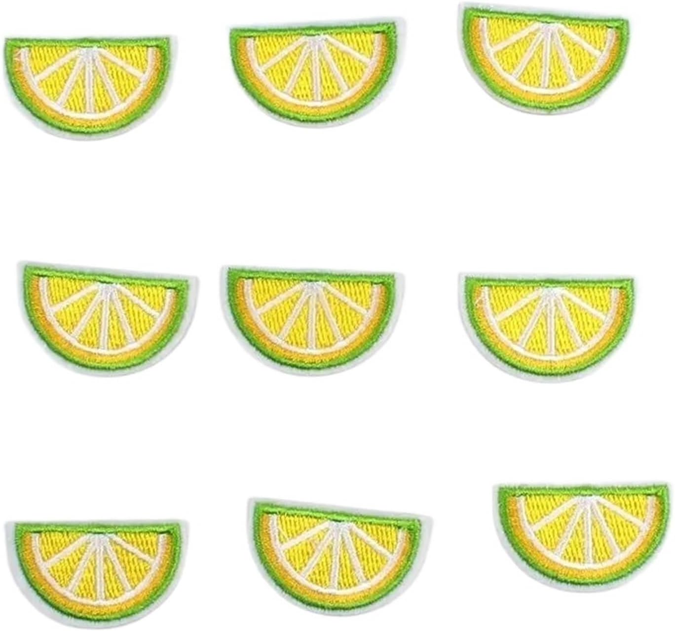 Amazon.com: 10pcs Iron On Embroidery Lemon Patches Cartoon Cute Fruits ...