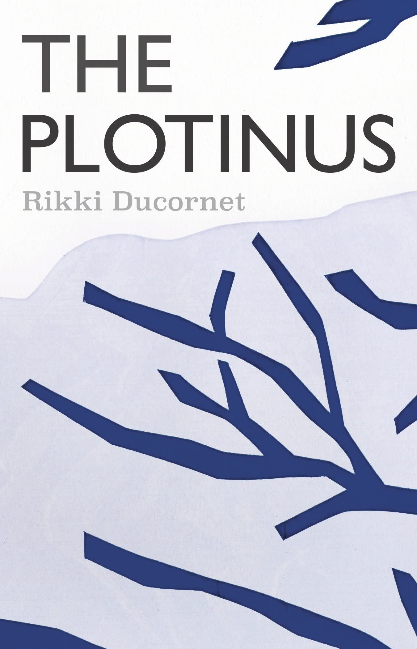 The Plotinus (NVLA): Ducornet, Rikki: 9781566896818: Amazon.com: Books