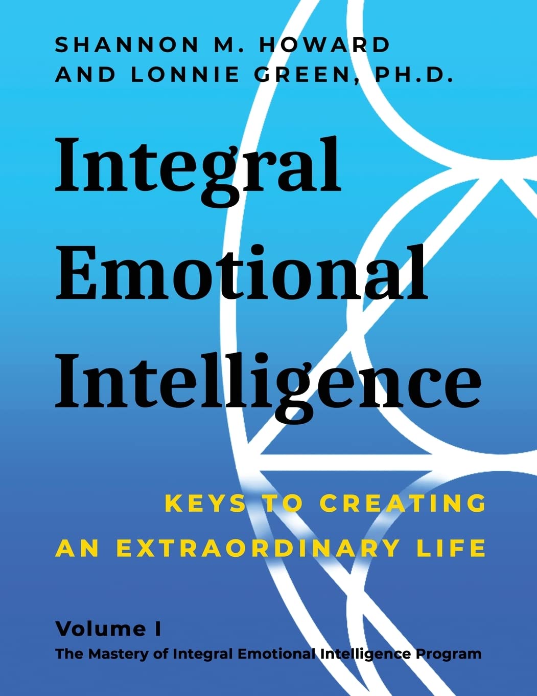 Integral Emotional Intelligence: Keys to Creating an Extraordinary Life ...