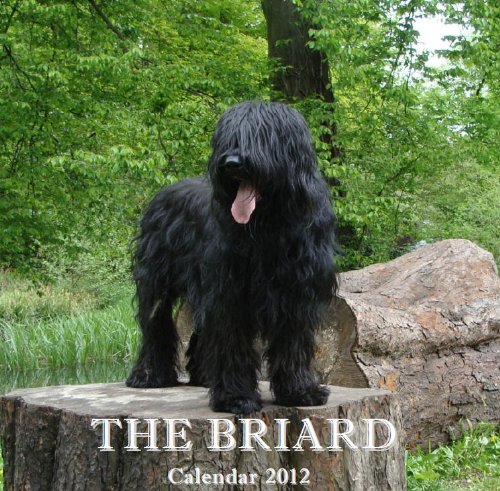 Briard Calendar 2012: Paul Andringa, Paul Andringa: 9781849142199 ...