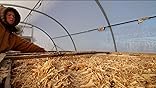 Amazon.com: Hot Beds: How to grow early crops using an age-old ...