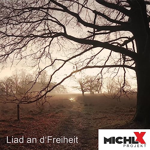 Amazon.co.jp: Liad an d'Freiheit : Michl X Projekt: Digital Music