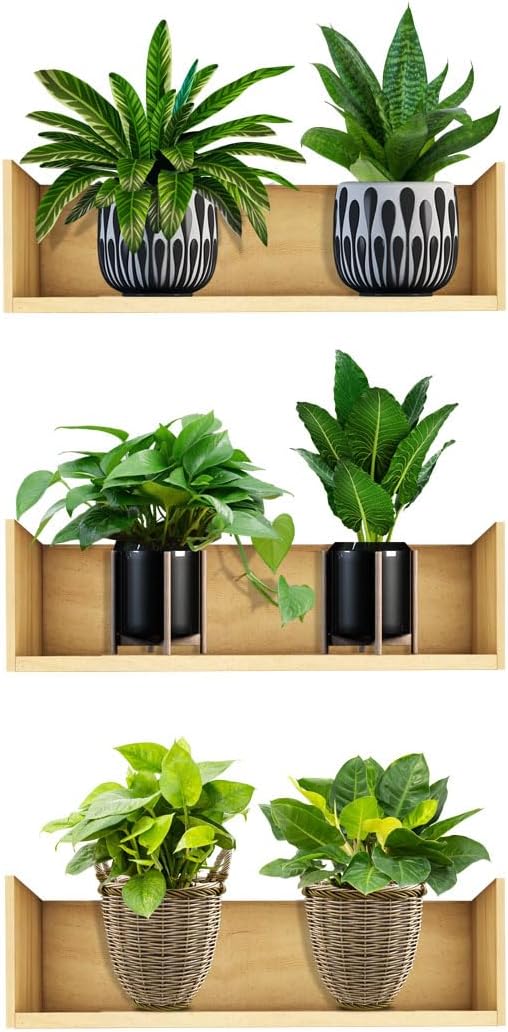 Amazon.com: 3D Green Plants Wall Stickers Botanical Plants Wall Decals ...