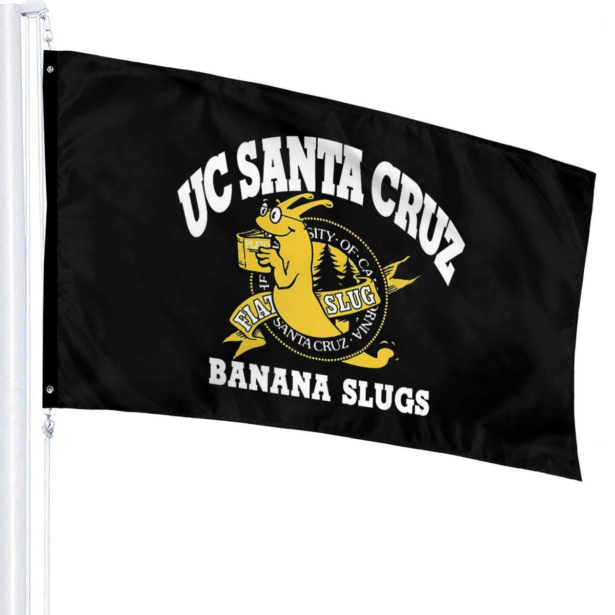 Banana Slugs Uc Santa Barbara