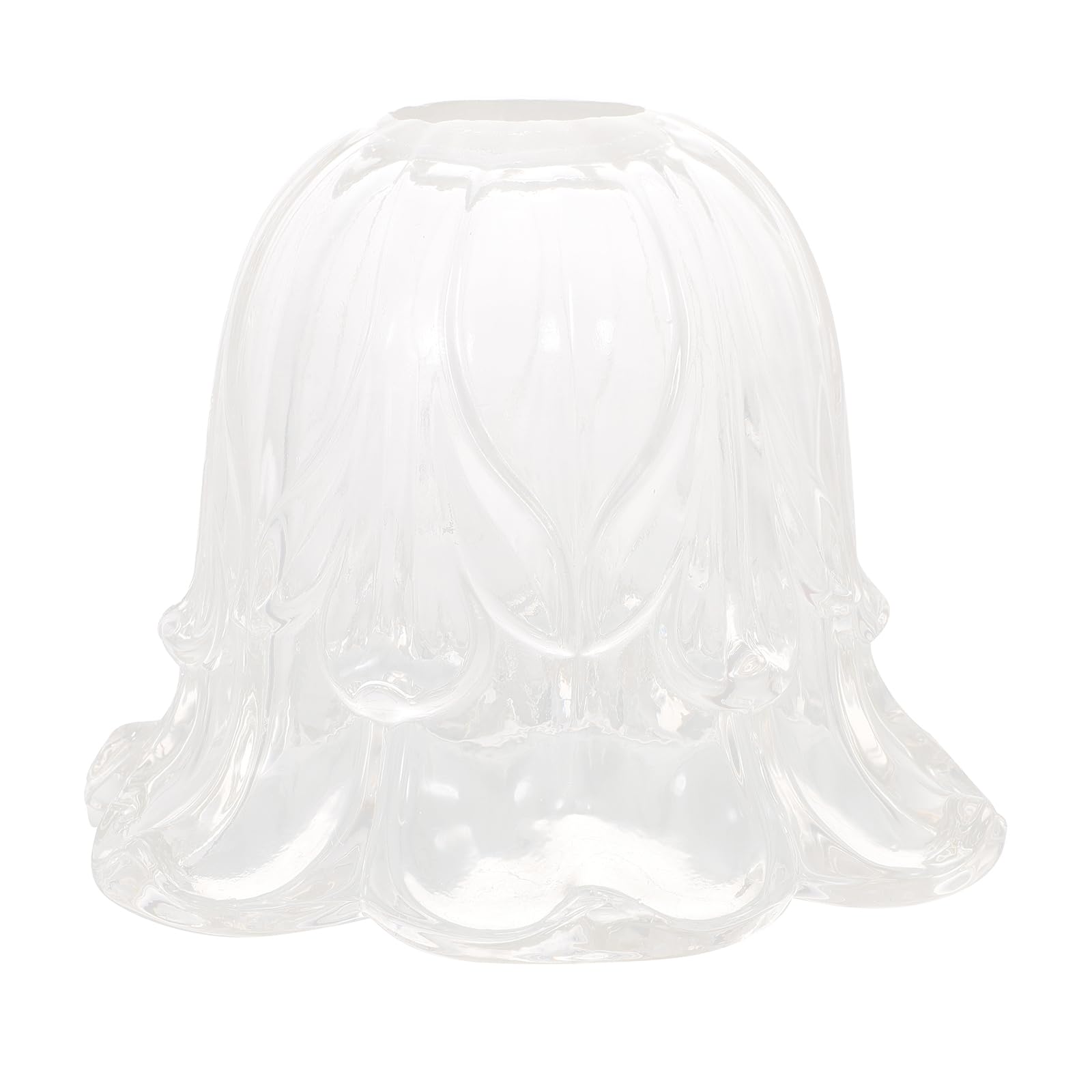 Housoutil Clear Frosted Flower Glass Shade, Glass Lamp Shade, Frosted ...