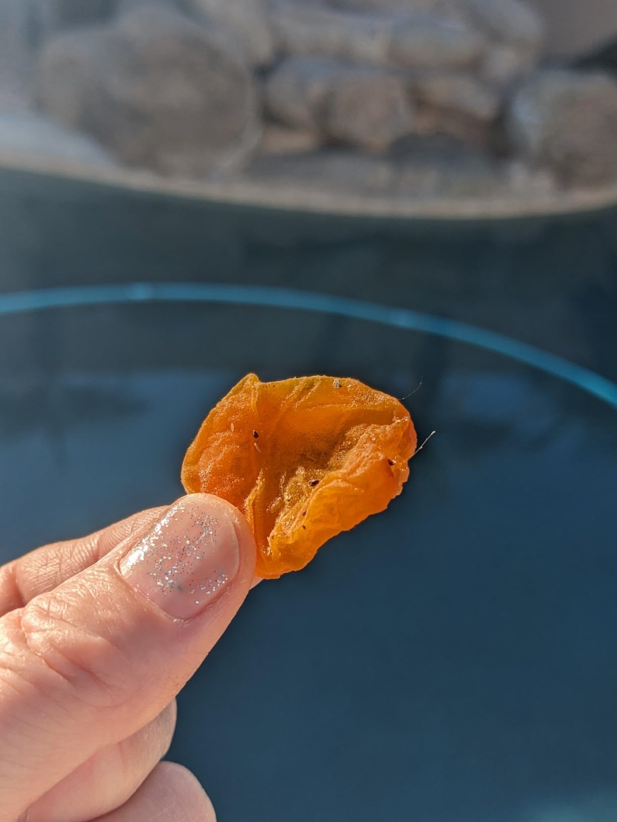 Amazon.com: Eastanbul Extra Dried Apricot Jerky Sun Dried Apricots 14 ...
