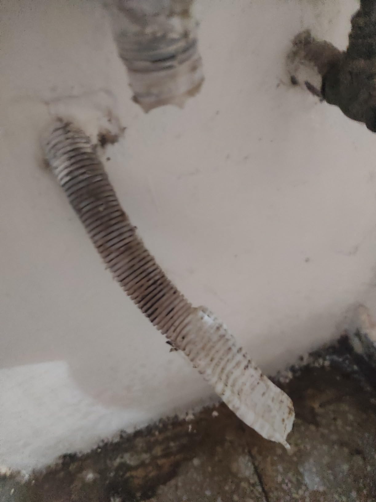 Kiwi Mr. Muscle Kiwi Dranex Drain Cleaner Powder, 50g | Removes Clogs ...