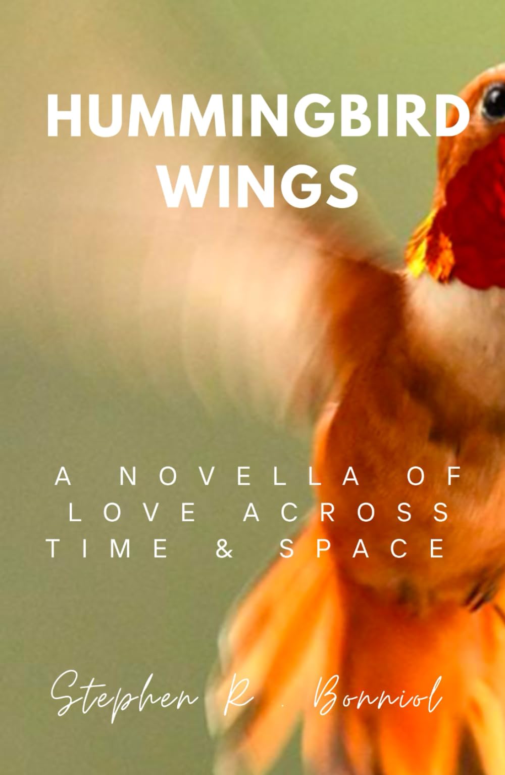 Amazon.com: Hummingbird Wings: A Novella of Love Across Time and Space ...