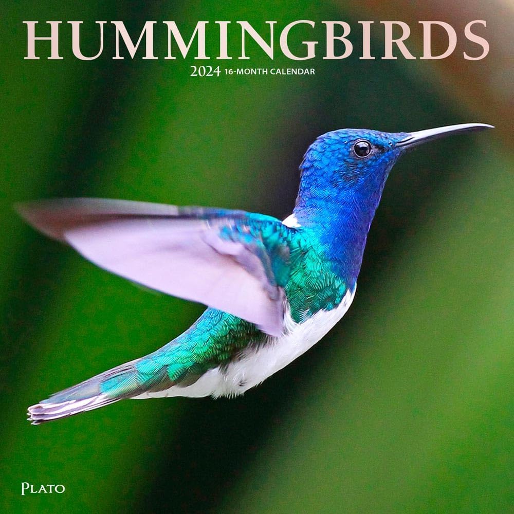 Amazon.com: Browntrout, Hummingbirds 2024 Wall Calendar : Office Products